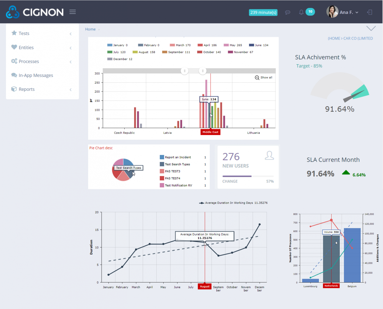 Cignon BPM | Dashboards, Analytics and Reports
